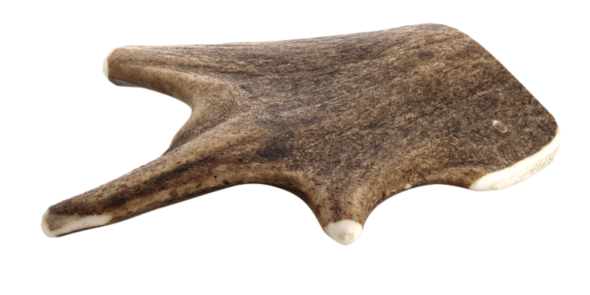 Hunde - Kauartikel CHEWIES Damhirsch-Geweihstück, L, 160 g, 17,99